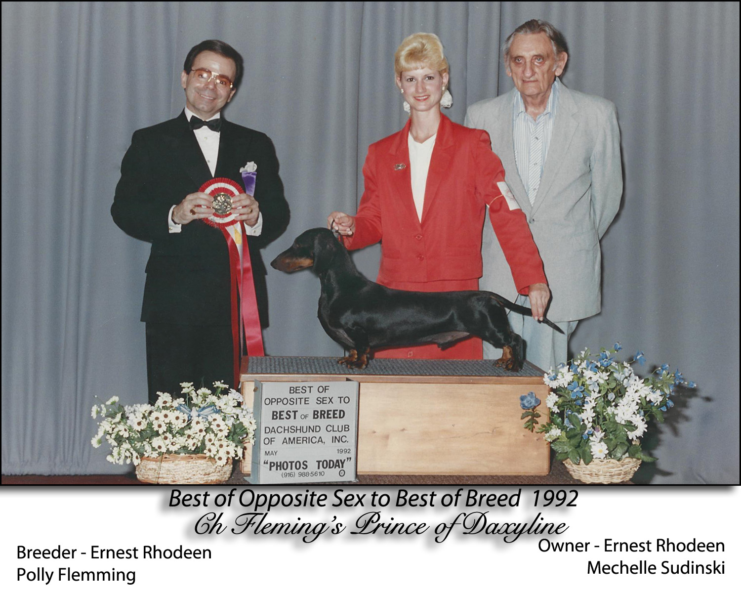 Winners 1991 to 2000 – Dachshund Club of America