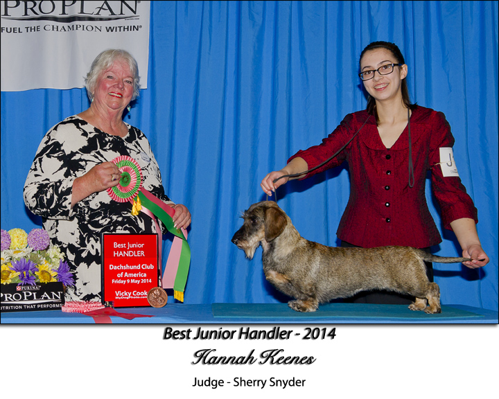 Winners 2011 to Present – Dachshund Club of America