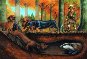 Dachshund History – Dachshund Club of America